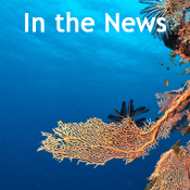 International Cable Protection Committee (ICPC)